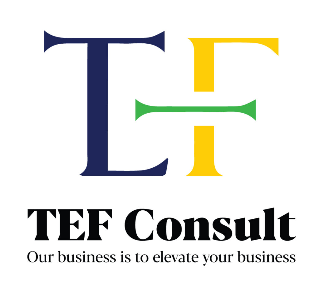 Digital Content & Sales Executive at TEF Consult January 2026